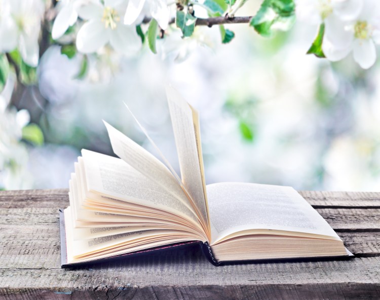 Employment Bites – Angela Atkins